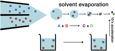 The role of analyte concentration in accelerated reaction rates in ...