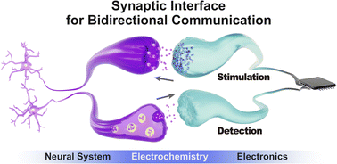 Streamlining the interface between electronics and neural systems for ...