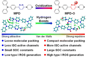 Oxidization enhances type I ROS generation of AIE-active zwitterionic ...