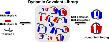 Dynamic covalent self-assembly and self-sorting processes in the ...