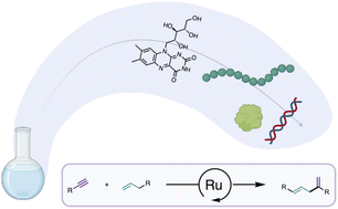 Ruthenium-catalyzed intermolecular alkene–alkyne couplings in ...
