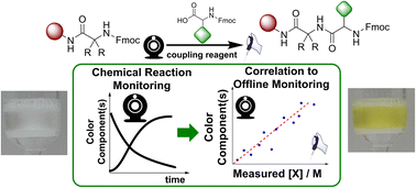 Computer vision as a new paradigm for monitoring of solution and solid ...