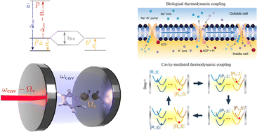 A path towards single molecule vibrational strong coupling in a Fabry ...