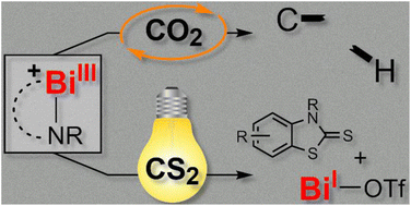 Insertion of CO2 and CS2 into Bi–N bonds enables catalyzed CH ...