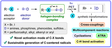 Shining light on halogen-bonding complexes: a catalyst-free activation ...