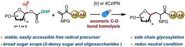 Stereoselective alkyl C-glycosylation of glycosyl esters via anomeric C ...