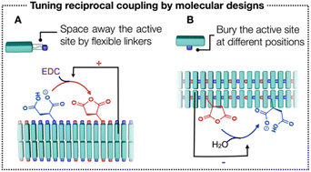 Design rules for reciprocal coupling in chemically fueled assembly ...