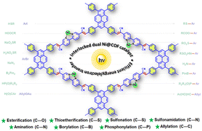A π-conjugated covalent organic framework enables interlocked nickel/photoredox catalysis for ...