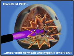 Thieno[3,4-d]pyrimidin-4(3H)-thione: an effective, oxygenation ...