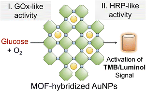 Metal–organic framework (MOF) hybridized gold nanoparticles as a ...