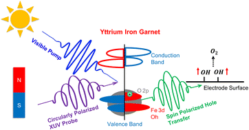 Spin polarized electron dynamics enhance water splitting efficiency by ...