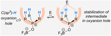 Trialkylphosphonium oxoborates as C(sp3)–H oxyanion holes and their ...