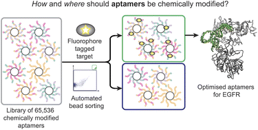 Selection of optimised ligands by fluorescence-activated bead sorting ...