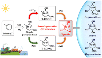 An overlooked oxidation mechanism of toluene: computational predictions ...