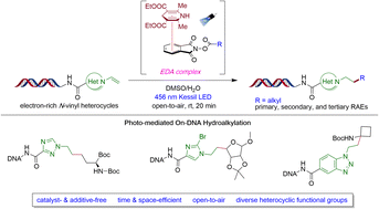 On-DNA hydroalkylation of N-vinyl heterocycles via photoinduced EDA ...