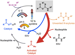 Suppressing catalyst poisoning in the carbodiimide-fueled reaction ...