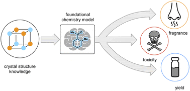 Transfer learning for a foundational chemistry model - Chemical Science ...