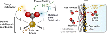 Electrocatalysis with molecules and molecular assemblies within gas ...