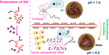 N-Sulfonyl amidine polypeptides: new polymeric biomaterials with ...