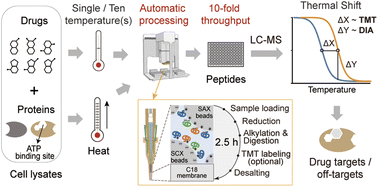 High-throughput drug target discovery using a fully automated ...