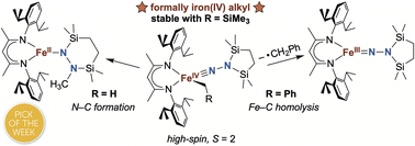 Iron(iv) alkyl complexes: electronic structure contributions to Fe–C ...