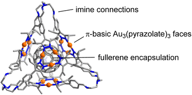 Molecular imine cages with π-basic Au3(pyrazolate) faces - Chemical ...