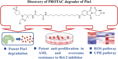Discovery of potent PROTAC degraders of Pin1 for the treatment of acute ...