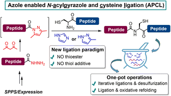 Azole reagents enabled ligation of peptide acyl pyrazoles for chemical ...