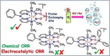 Catalytic reduction of oxygen to water by non-heme iron complexes ...