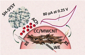 Braided copper cobaltite/MWCNT composites enable acetylcholine ...