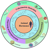 Functional nanostructures in analytical chemistry: new insights into ...
