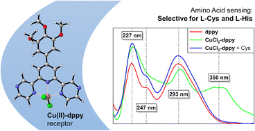 A simple copper(ii) dppy-based receptor for sensing of l-cysteine and l ...