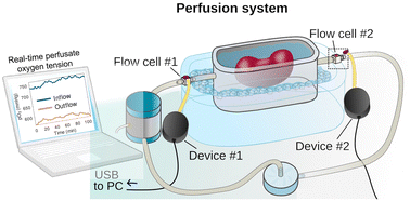 Versatile, in-line optical oxygen tension sensors for continuous ...