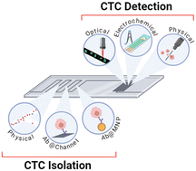 The integrated on-chip isolation and detection of circulating tumour ...