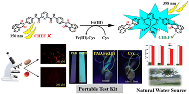 Self-assembled emissive probe for efficient sensing of Fe(iii) and ...