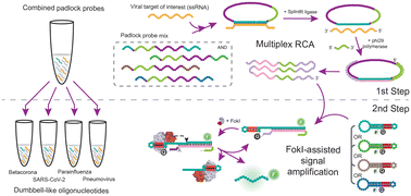 A FokI-driven signal amplification platform for the simultaneous ...