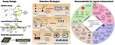Paper-based point of care diagnostics for cancer biomarkers - Sensors ...