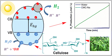 Cellulose as sacrificial agents for enhanced photoactivated hydrogen ...