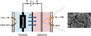 N-doped Mo2C particles as a cathode catalyst of asymmetric neutral ...