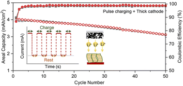 Energy-dense anode-free rechargeable lithium metal batteries based on ...