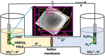 MOF-derived interface-rich silver/silver oxide nano-structures as an ...