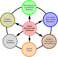 Syngas conversion to biofuels and biochemicals: a review of process ...