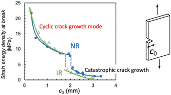 Transition of rupture mode of strain crystallizing elastomers in ...
