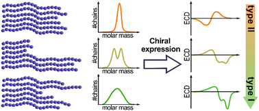 Influence of the dispersity and molar mass distribution of conjugated ...
