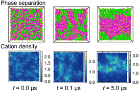 Coarse-grained molecular dynamics simulation of cation distribution ...