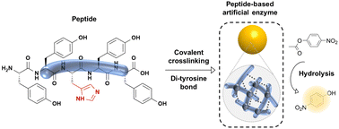 A covalent crosslinking strategy to construct a robust peptide-based ...