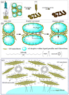 Rheology of graphene oxide stabilized Pickering emulsions - Soft Matter ...