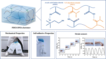 Transparent ionic conductive elastomers with high mechanical strength and strong tensile ...