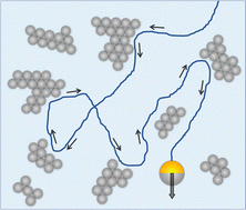 Island hopping of active colloids - Soft Matter (RSC Publishing)