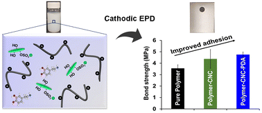 Cathodic electrodeposition of organic nanocomposite coatings reinforced ...